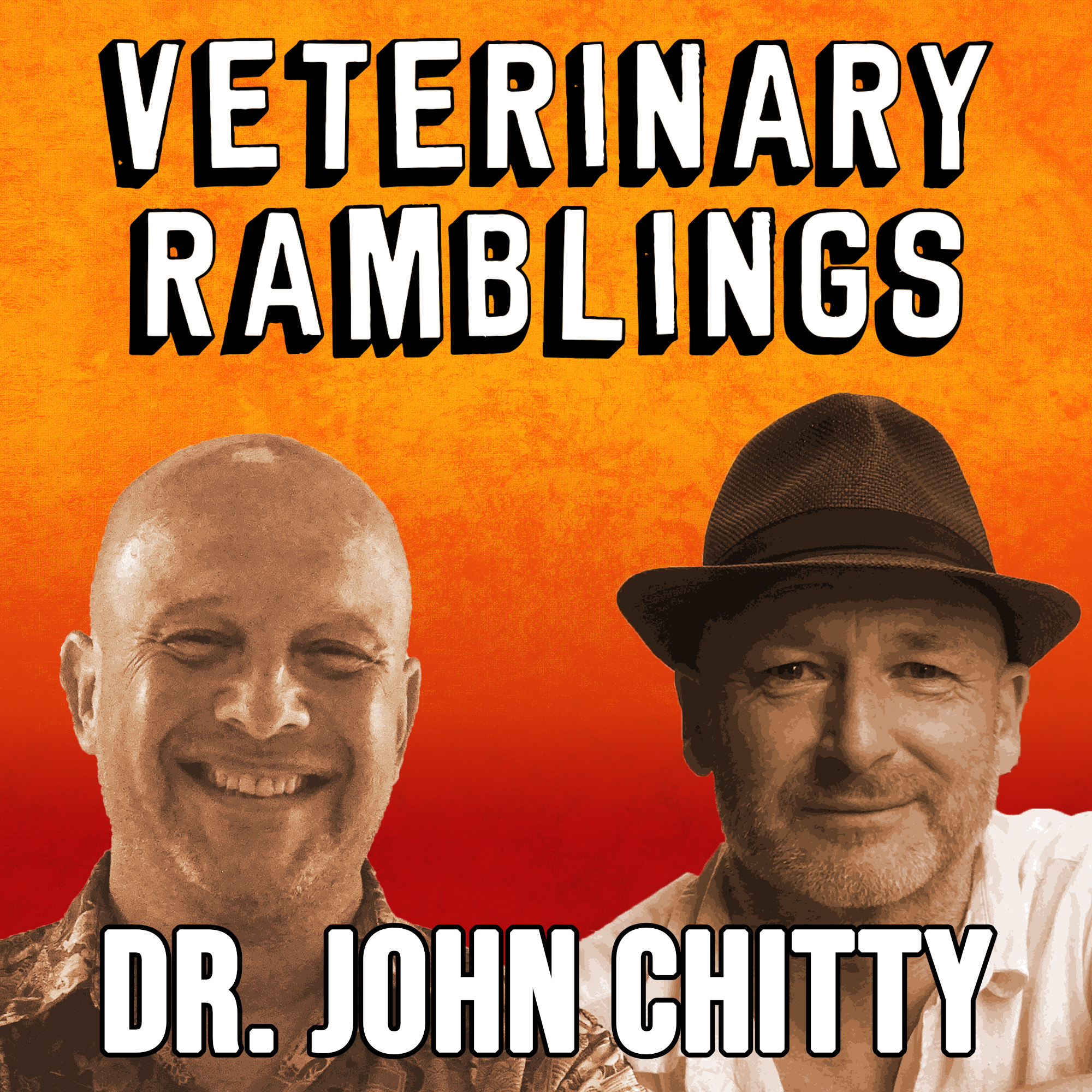 Tortoises, Sugar Gliders & Ferrets With Dr John Chitty – Veterinary ...