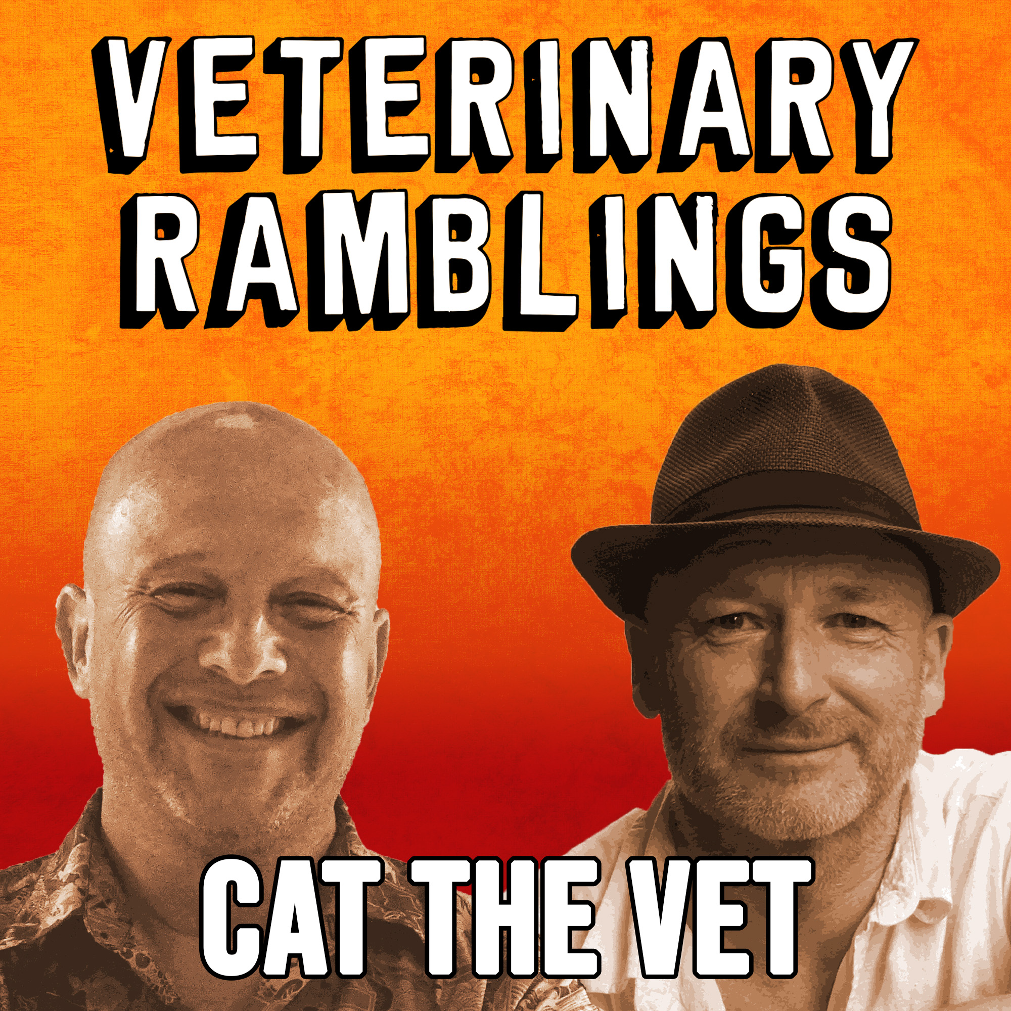 Life Online With Cat Henstridge AKA Cat The Vet - Veterinary Ramblings