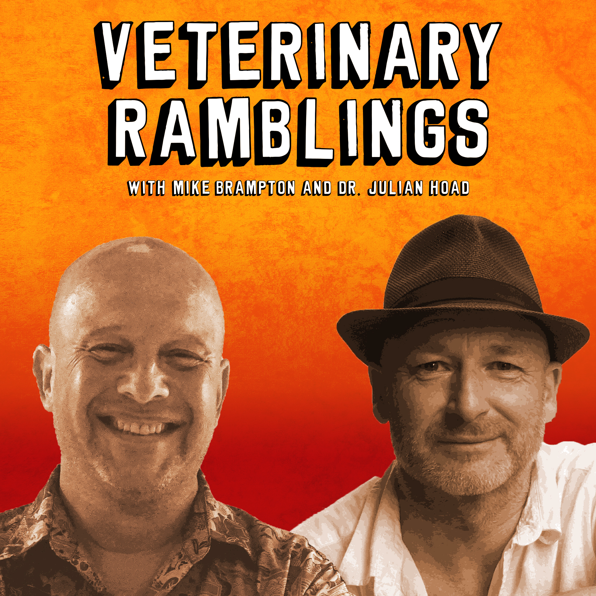 Introductions with Mike Brampton and Dr. Julian Hoad - Veterinary Ramblings