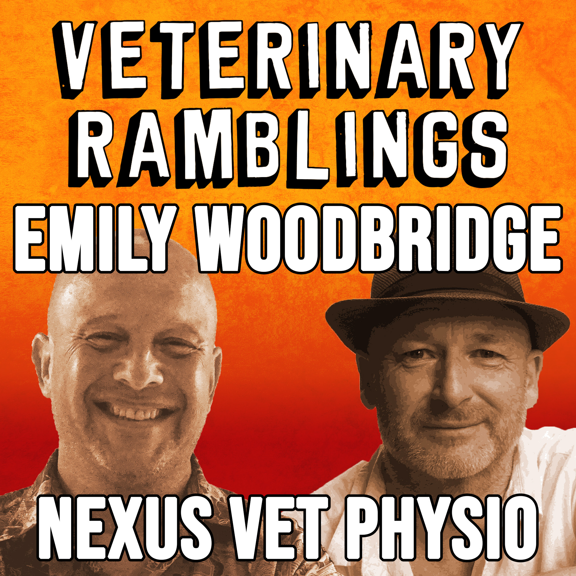 Pet Pain and Palliative Care with Emily Woodbridge AKA Nexus Vet Physio ...
